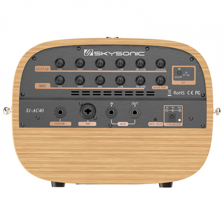 Skysonic S1 AC40 Acoustic Guitar Amplifier Bluetooth Speaker - LEEN ...